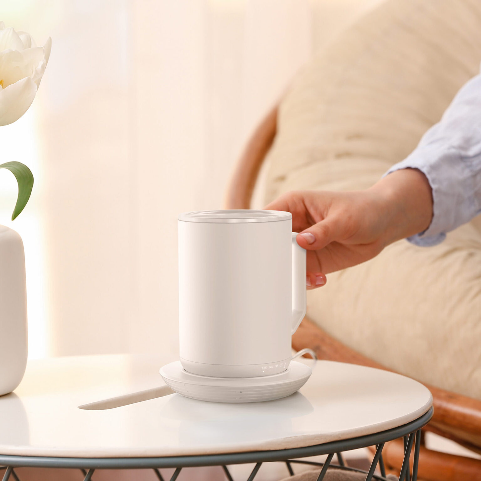 ionmug Stainless Steel (White) – Tzumi®